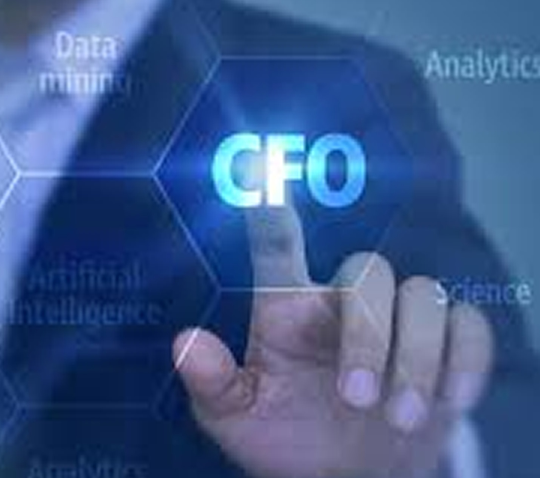 Deployed an interim CFO in an indian it services company - X-PM